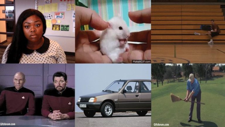 7 Generic GIFs That Are Just As Good As The Name Brands - ClickHole