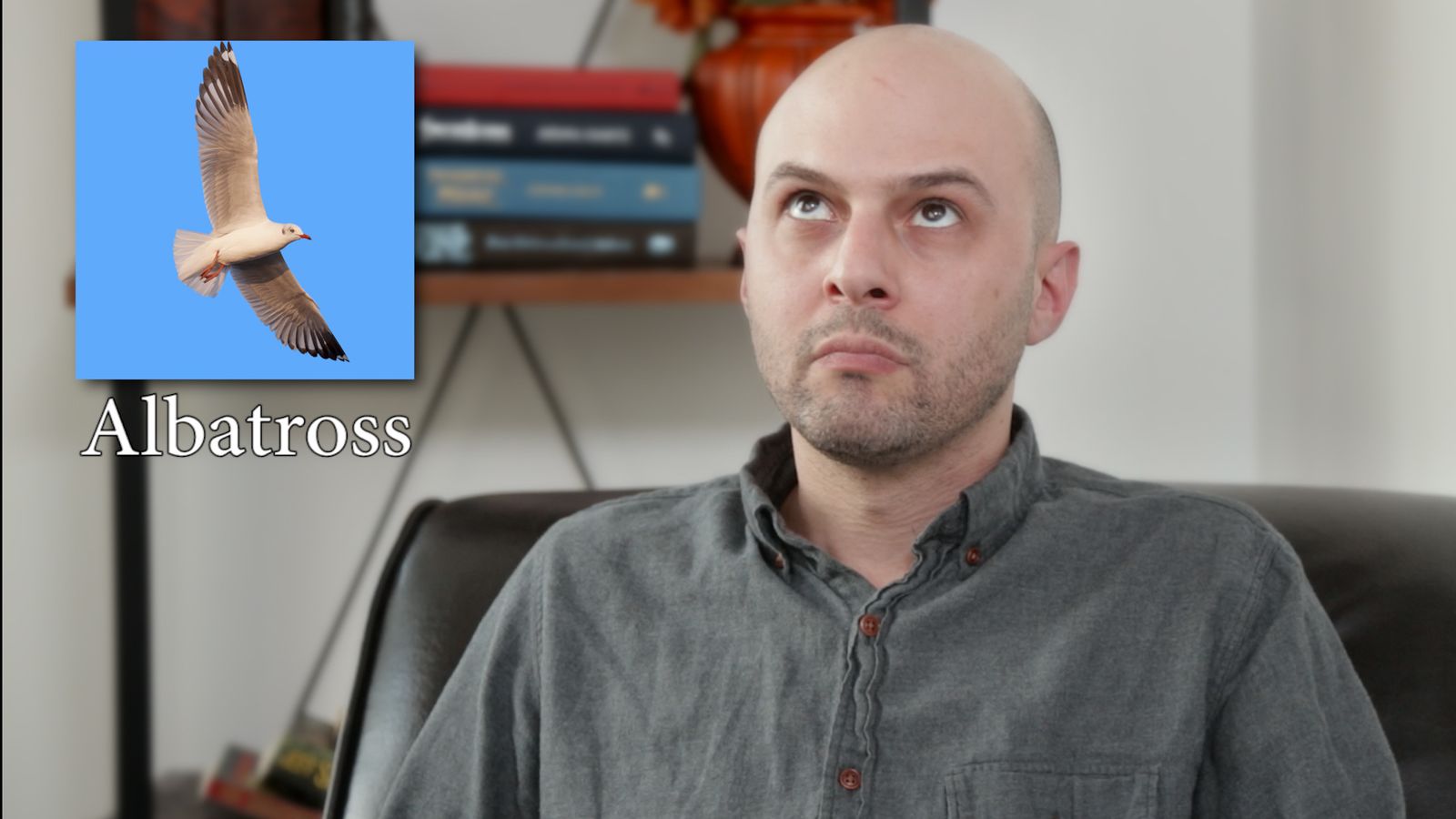 Amazing! Watch This Man Think About 25 Birds In One Minute! - ClickHole