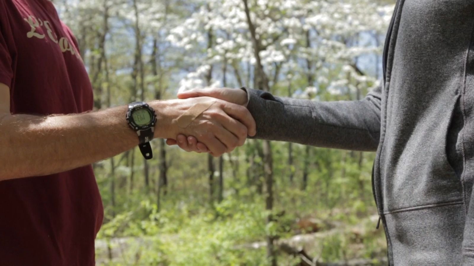 Watch This Incredible Compilation Of People With A Band-Aid On Their ...