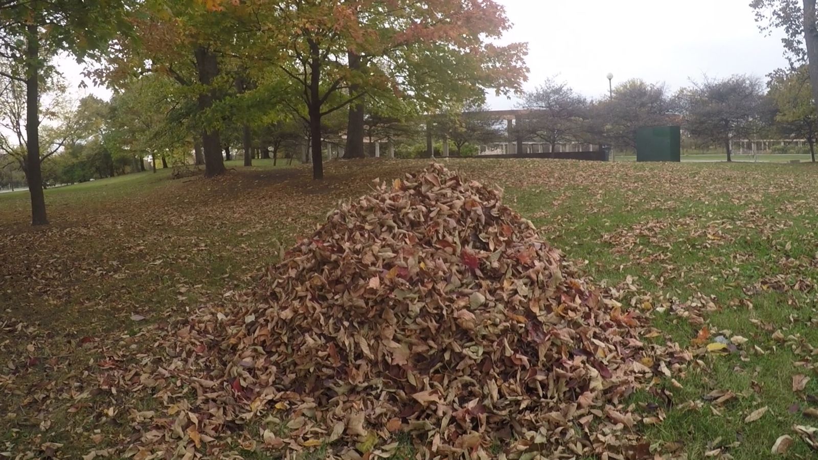 Want To Jump In A Leaf Pile? This Simulator Is Here To Help - ClickHole