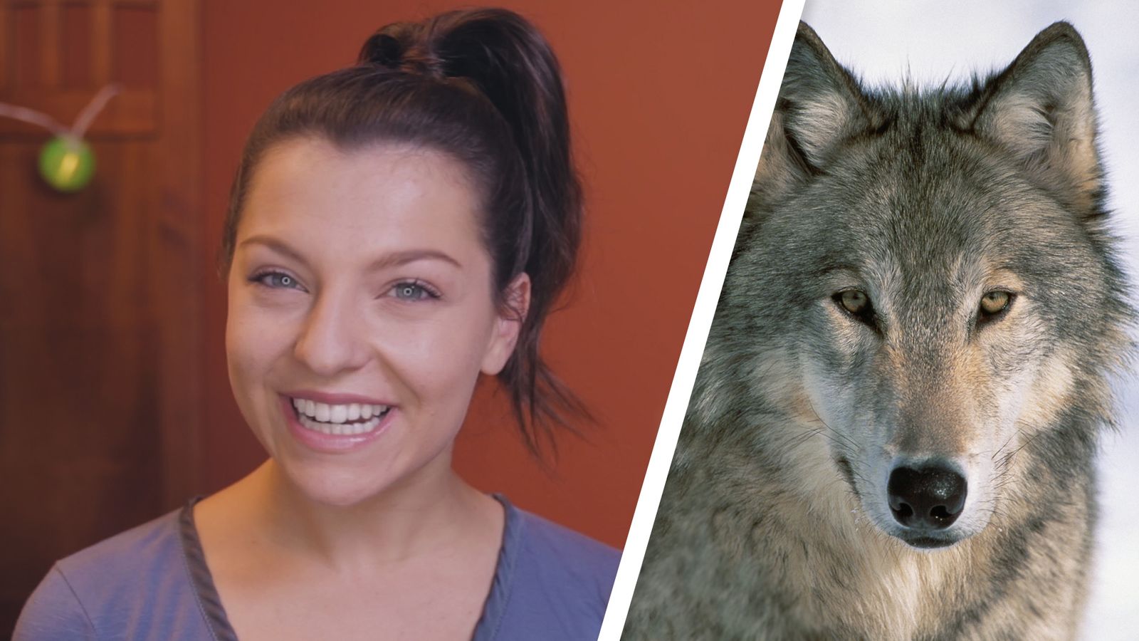 Makeup Tutorial: How To Make A False Face To Fool Wolves In Less Than ...