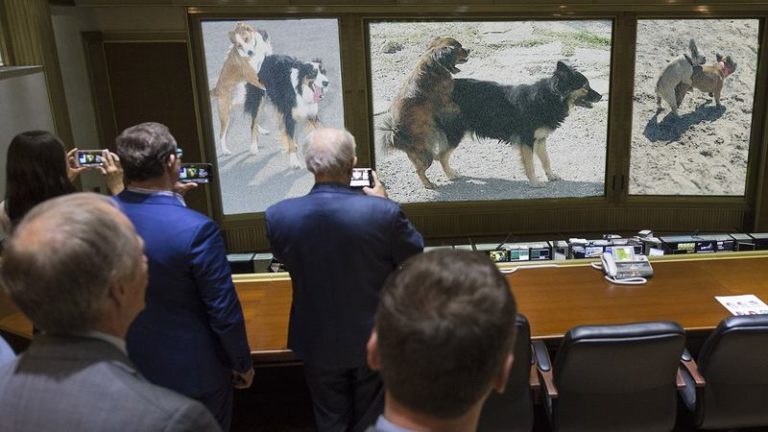 Major Setback: NASA’s Fermi Gamma-Ray Telescope Has Turned Toward Earth ...