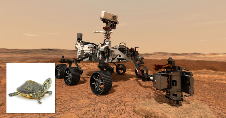Sort Of A Wash For Science: Perseverance Found A Turtle On Mars But ...