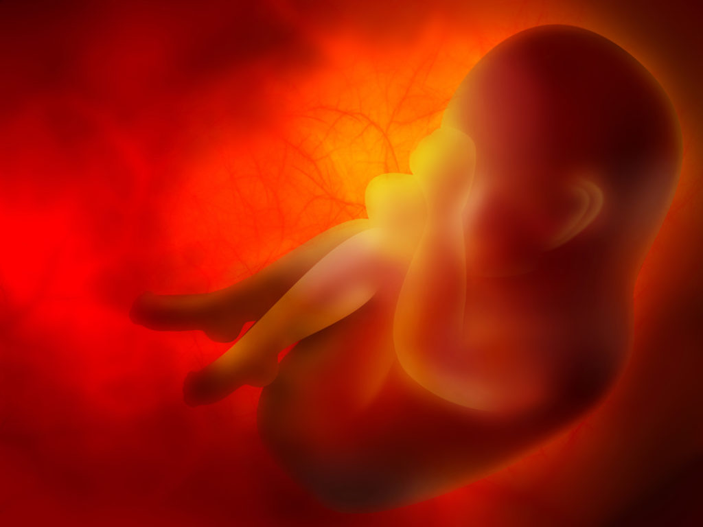 A Miraculous Infestation: A Week-By-Week Look Into How A Fetus Develops ...