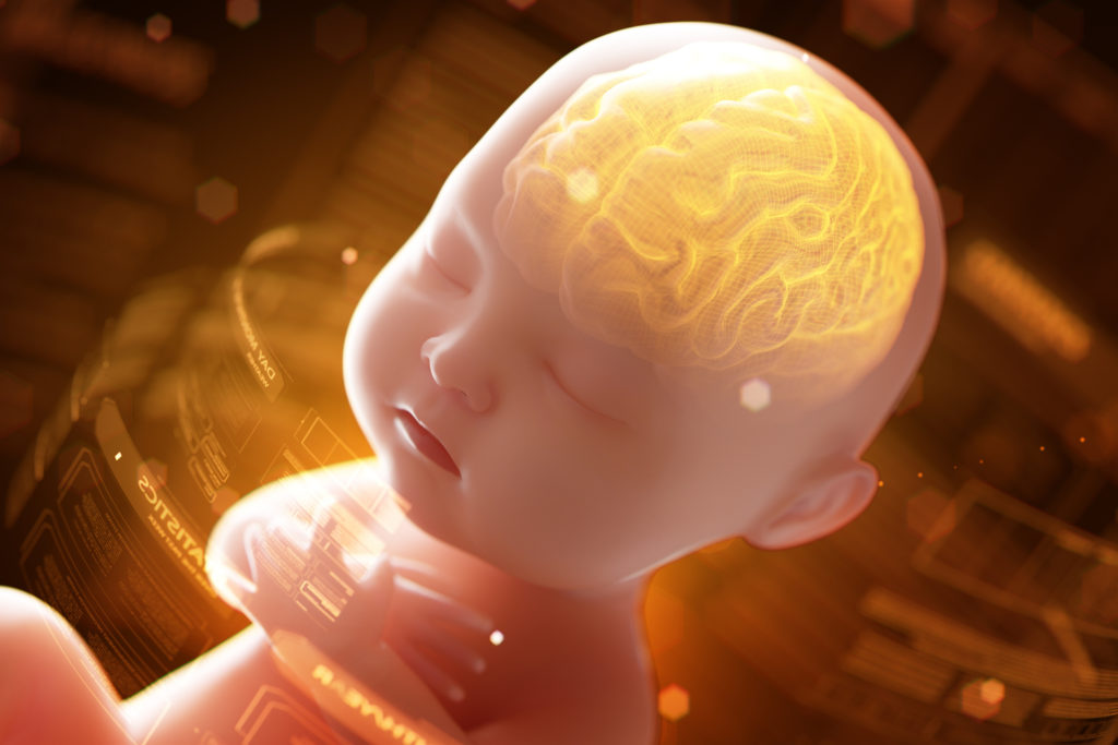 A Miraculous Infestation: A Week-By-Week Look Into How A Fetus Develops ...