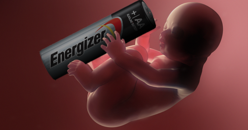 A Miraculous Infestation: A Week-By-Week Look Into How A Fetus Develops ...