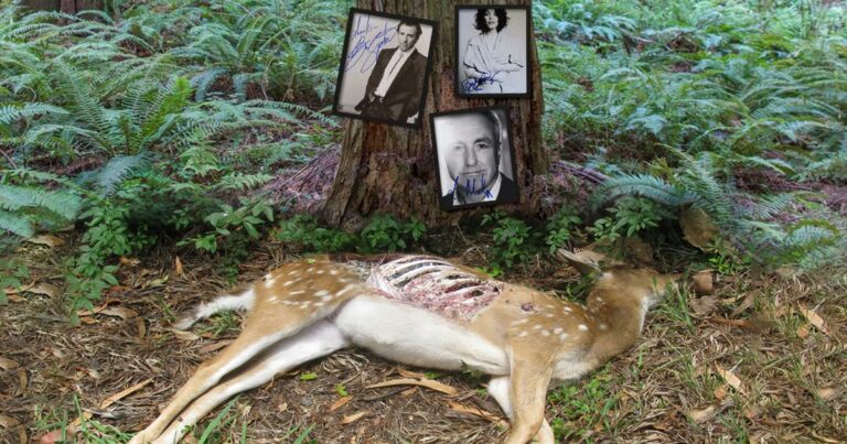 Intriguing: These Autographed Headshots Of C-List Celebrities Behind ...